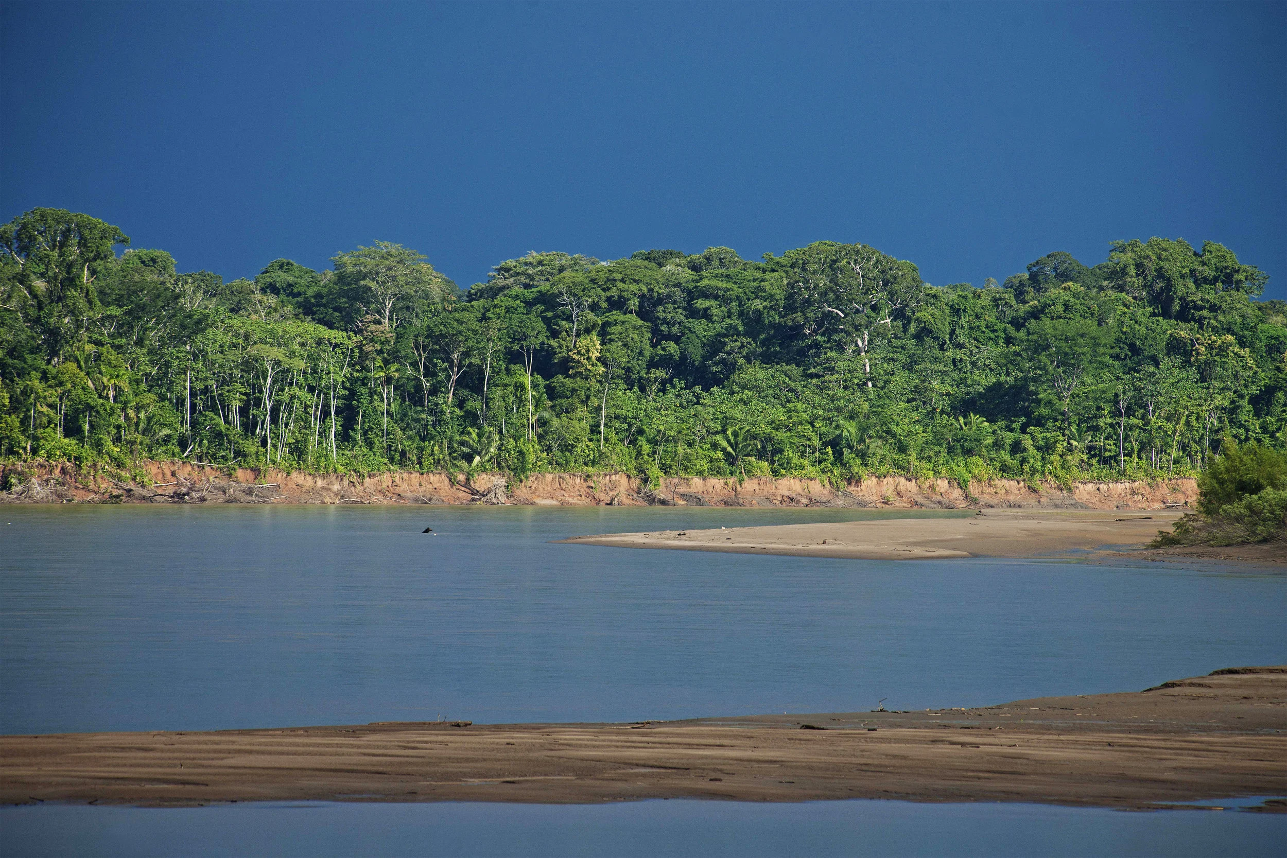 Welcome to the Jungle... Traveling to the Peruvian Amazon — Clark Kotula