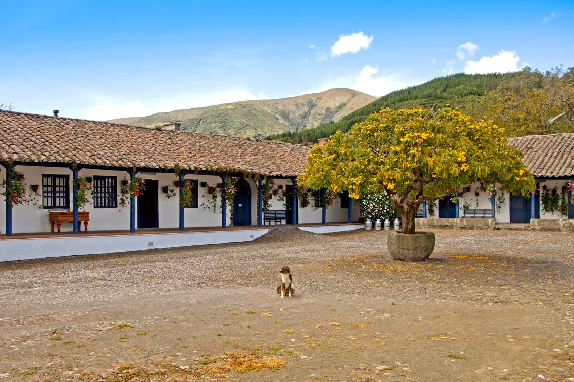 Summer Trips that Transform - Get Comfortable in the Saddle at Hacienda ...