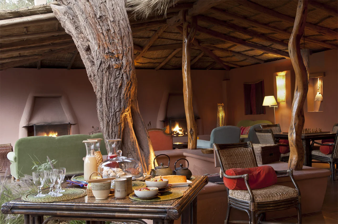 Summer Trips that Transform - Soak in the Stark Beauty of the Atacama ...