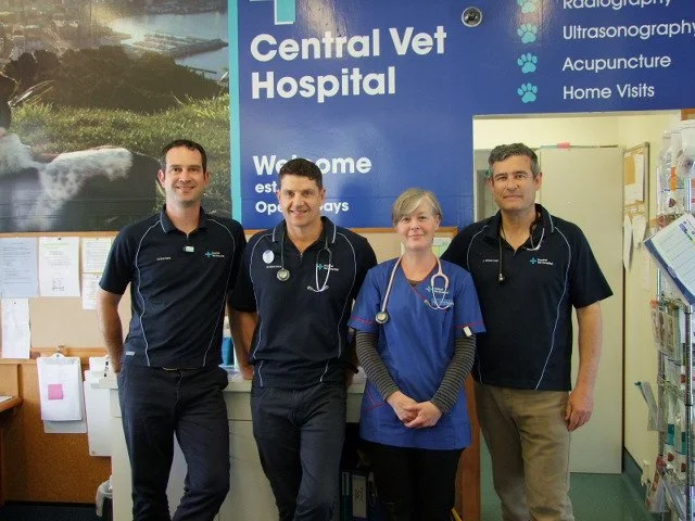 Central Vet Hospital