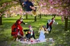 Top 10 Spring Parks in Paris — Aperture Tours