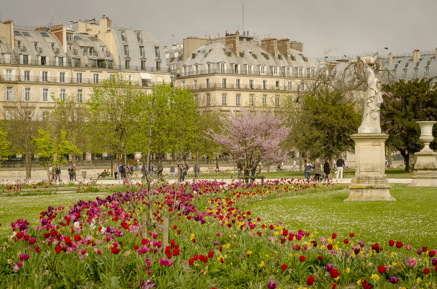 Top 10 Spring Parks in Paris — Aperture Tours