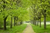 Top 10 Spring Parks in Paris — Aperture Tours