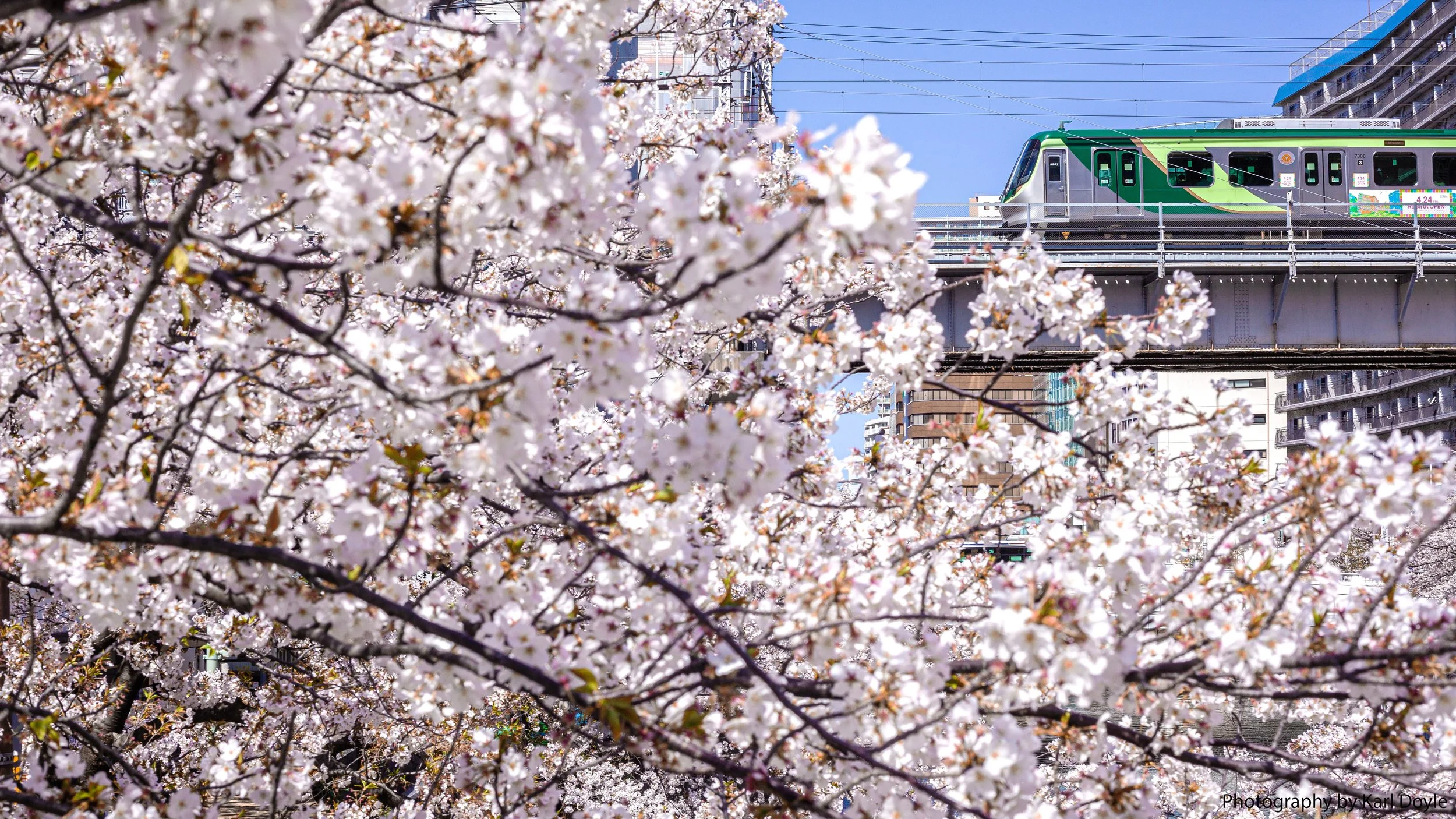 Karl Doyle — Aperture Tours