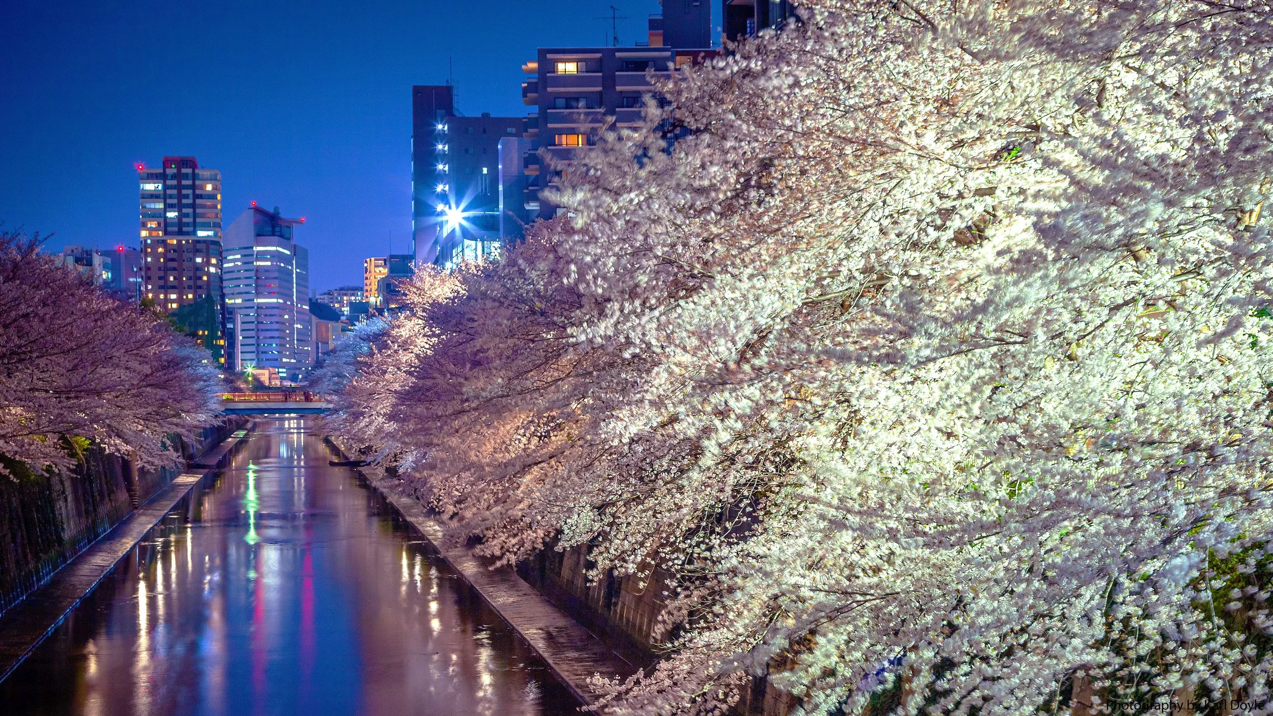 Karl Doyle — Aperture Tours