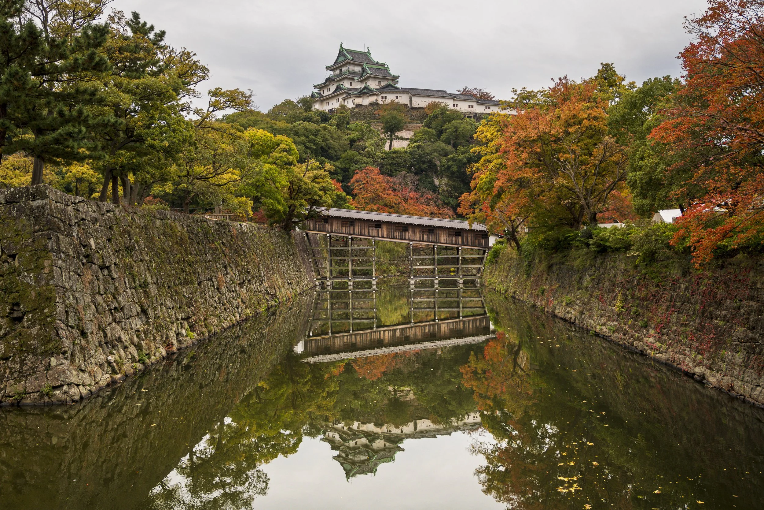 Osaka Street Tour Photos — Aperture Tours