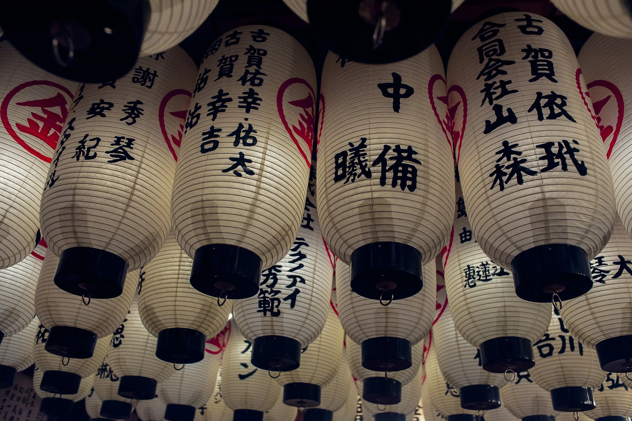 Irven Lewis — Aperture Tours