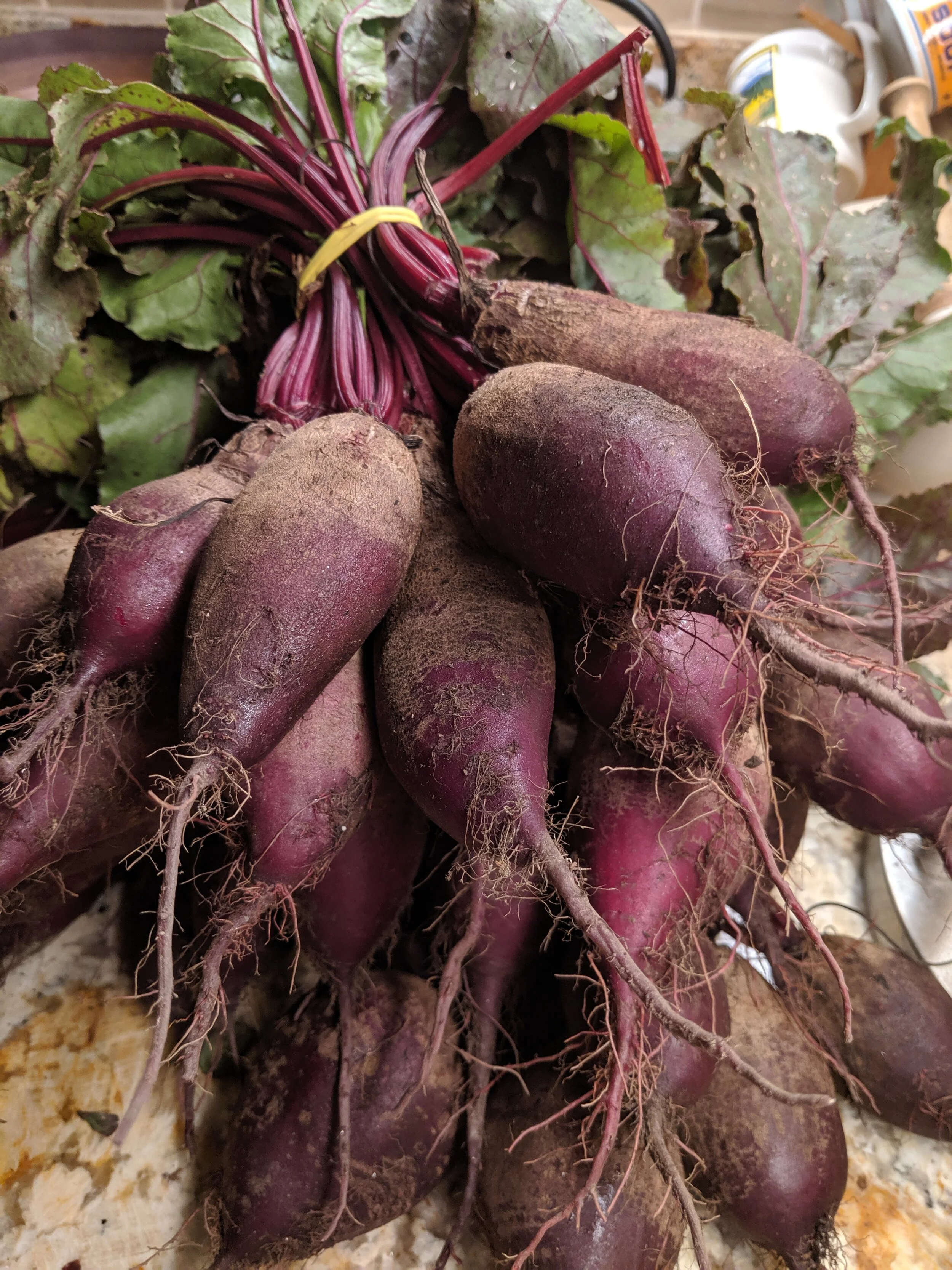 Produce — Maggie's Farm Gettysburg