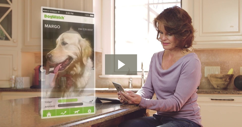 Our Work — Shave Media