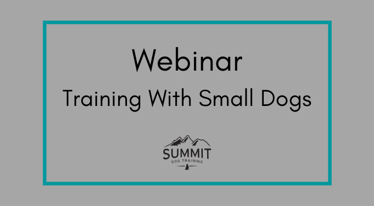 Online Classes & Webinars | Summit Dog Training