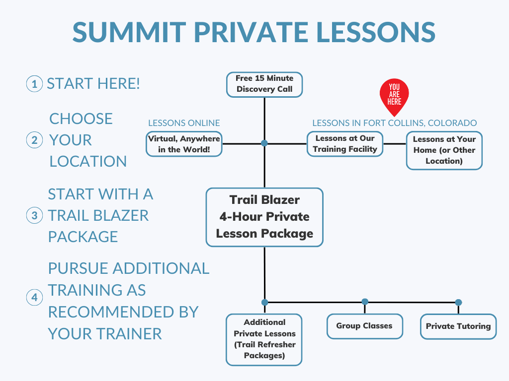 Private Dog Lessons Fort Collins, CO | Summit Dog Training