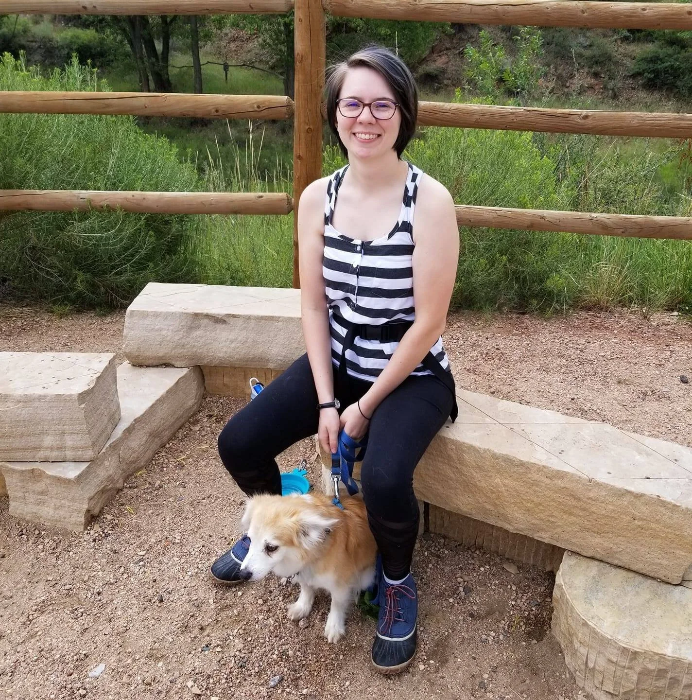 About us | Summit Dog Training