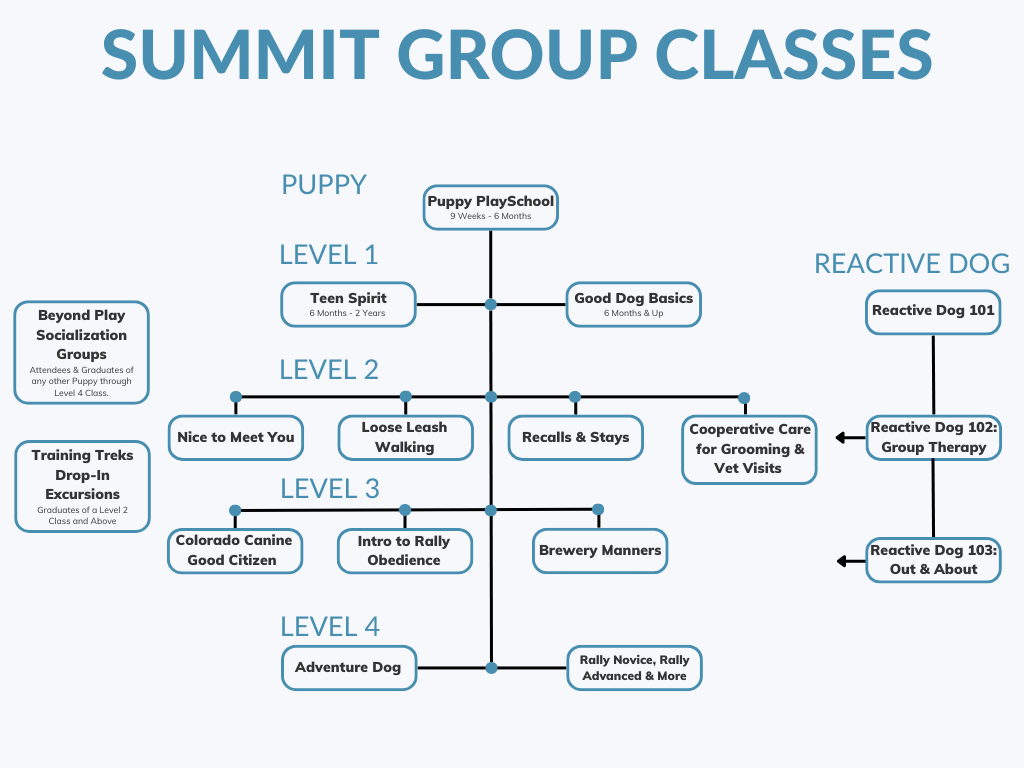 Group Dog Training Classes Fort Collins, CO | Summit Dog Training