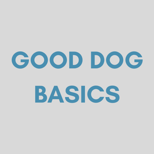 Level 1 Dog Training Classes | Summit Dog Training