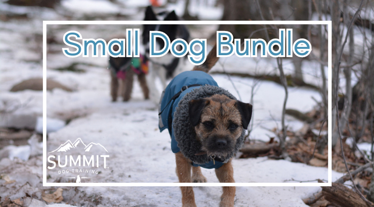 Online Classes & Webinars | Summit Dog Training
