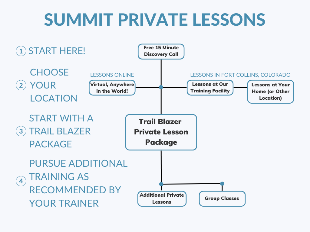 Private Dog Training Lessons | Summit Dog Training