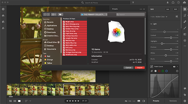 Lightroom Cs6 Icon