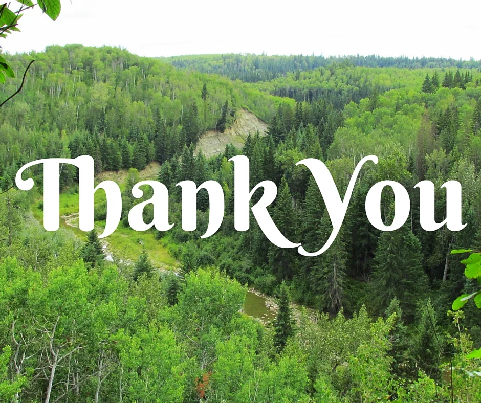 Thank You Images With Nature