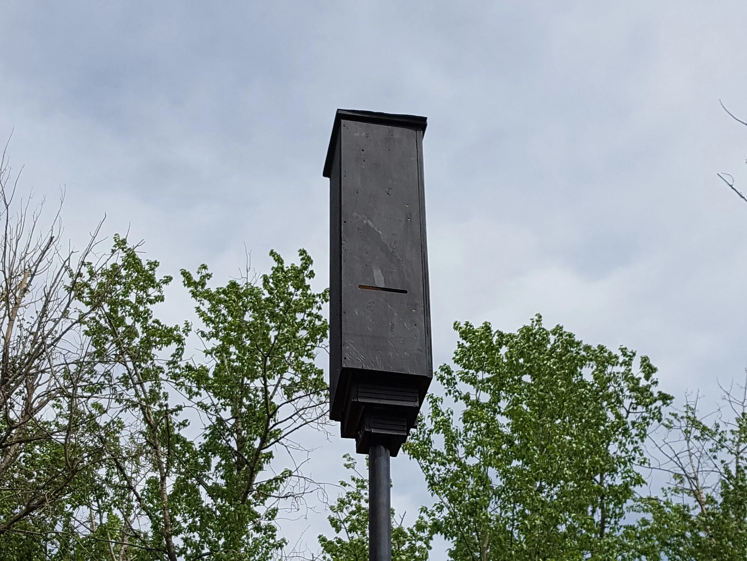 Bat Boxes — Edmonton & Area Land Trust