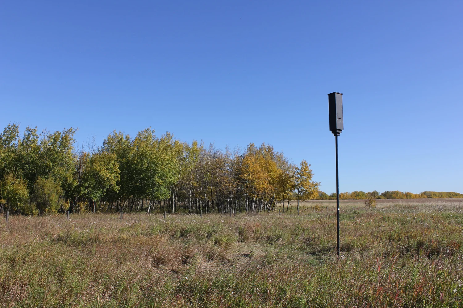 Bat Boxes — Edmonton & Area Land Trust