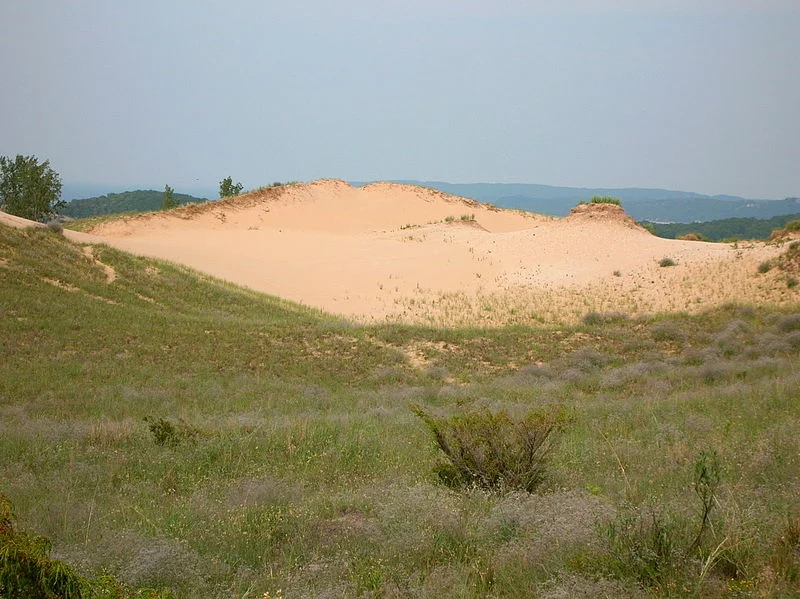 Science Spotlight: Aeolian Sand Dunes — Edmonton & Area Land Trust