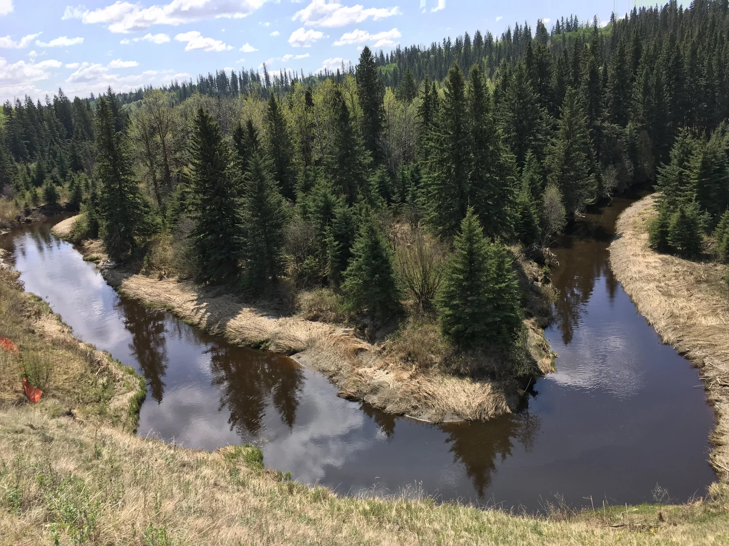 Weeding for Wildlife at Pipestone Creek — Edmonton & Area Land Trust