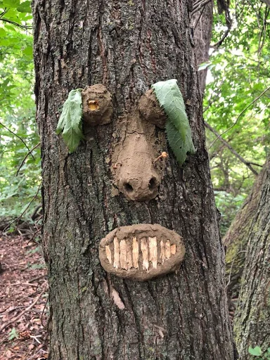 Muddy Bark Faces — Edmonton & Area Land Trust
