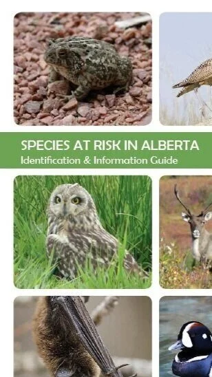 Identification Guides — Edmonton & Area Land Trust