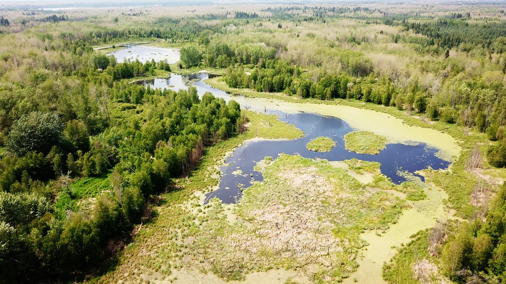 Conservation In A Fragmented Landscape — Edmonton & Area Land Trust