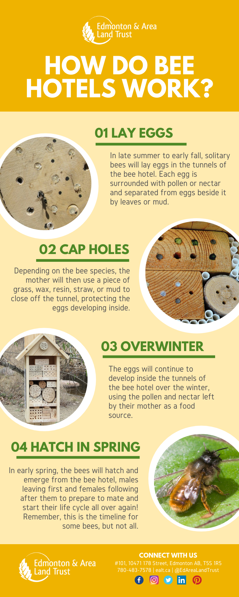 Protecting Pollinators — Edmonton & Area Land Trust