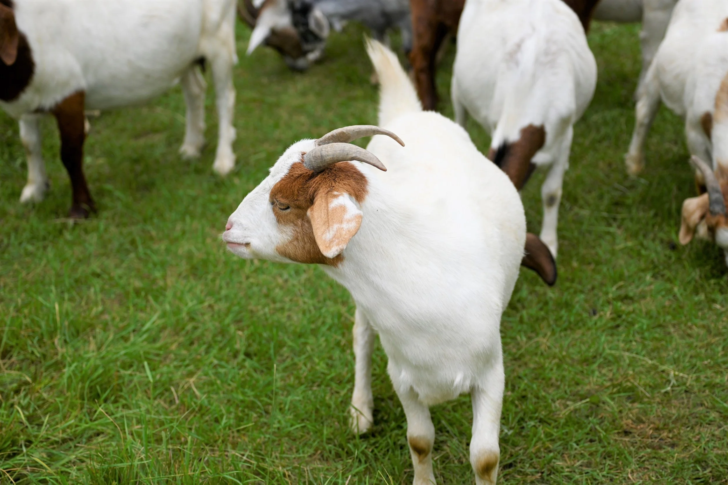 August Field Notes — Edmonton & Area Land Trust