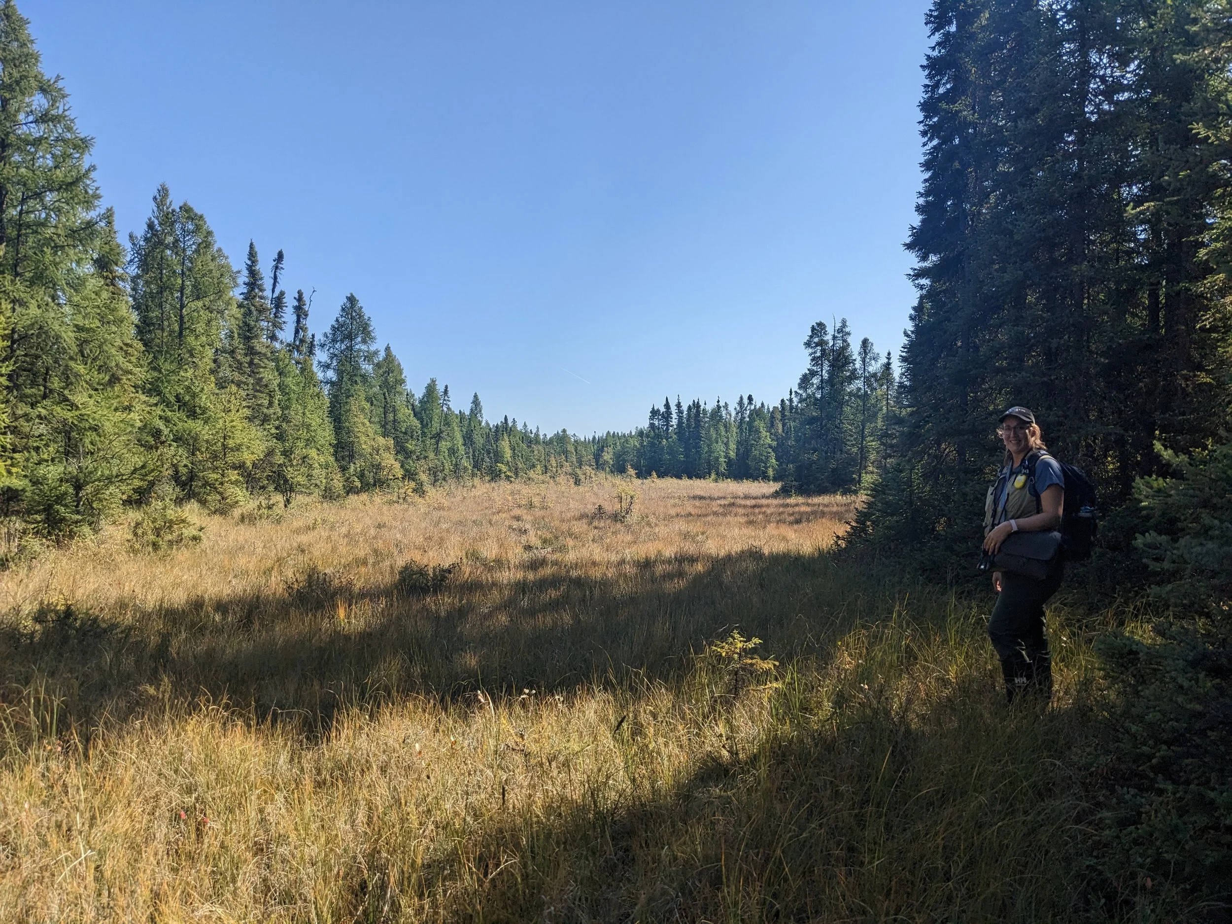 Sundew — Edmonton & Area Land Trust