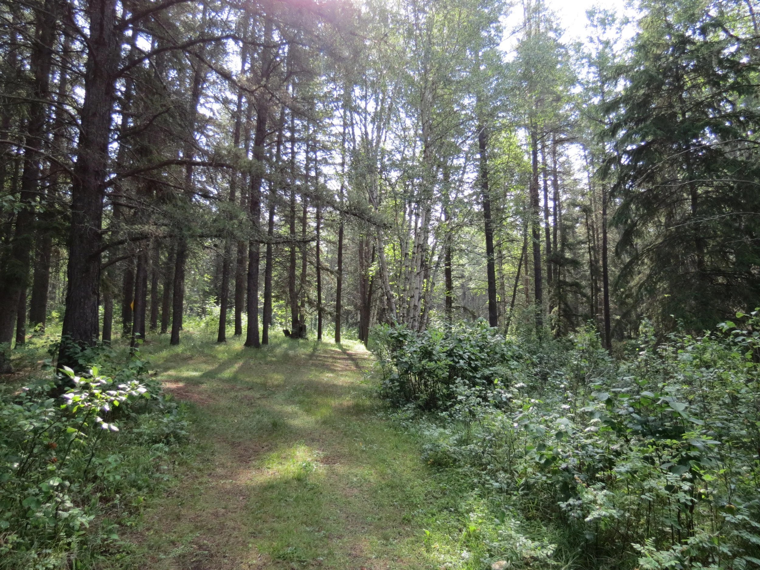 Conservation Lands — Edmonton & Area Land Trust