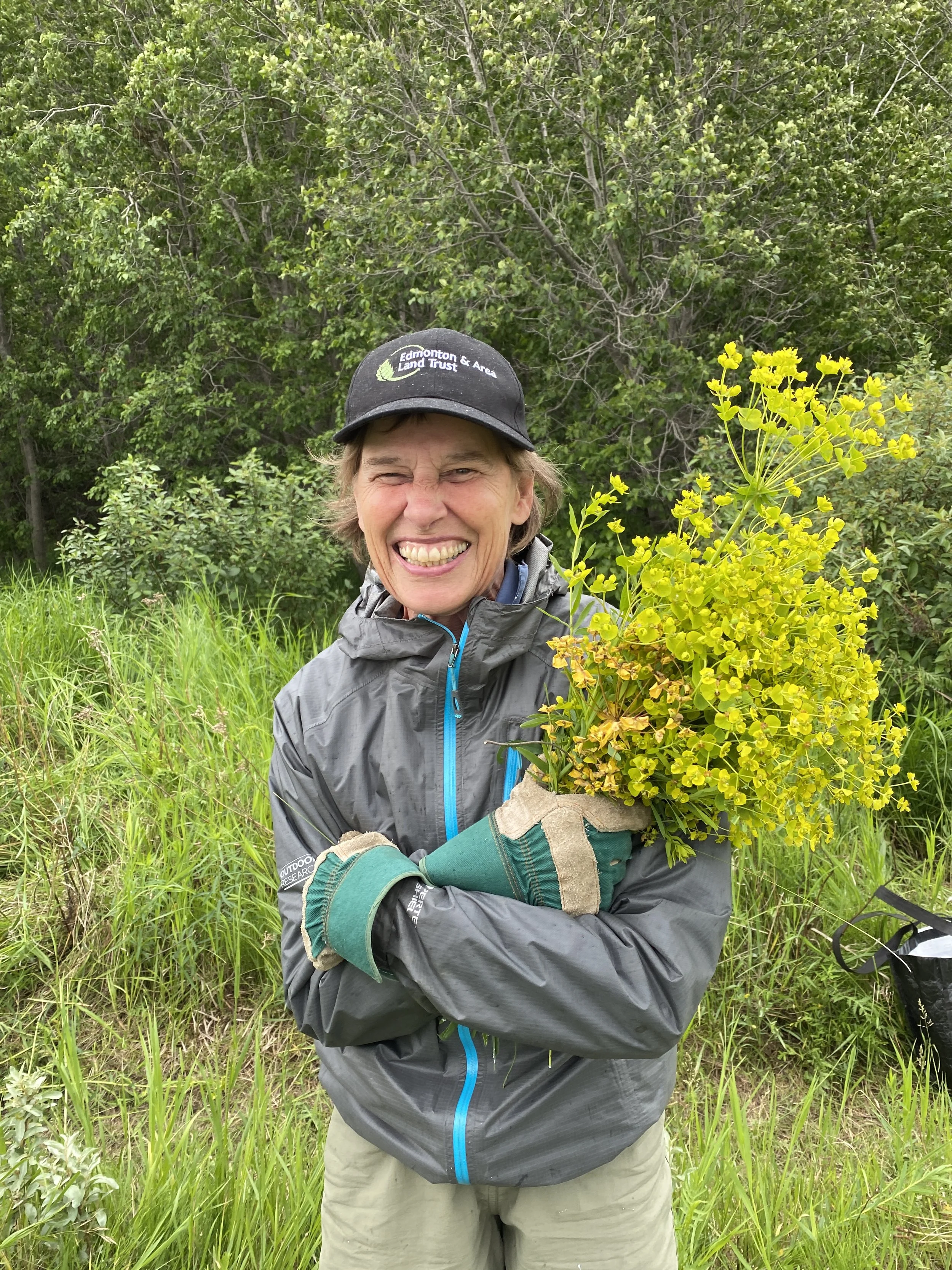 Goats Helping Bats - How Does That Work? — Edmonton & Area Land Trust