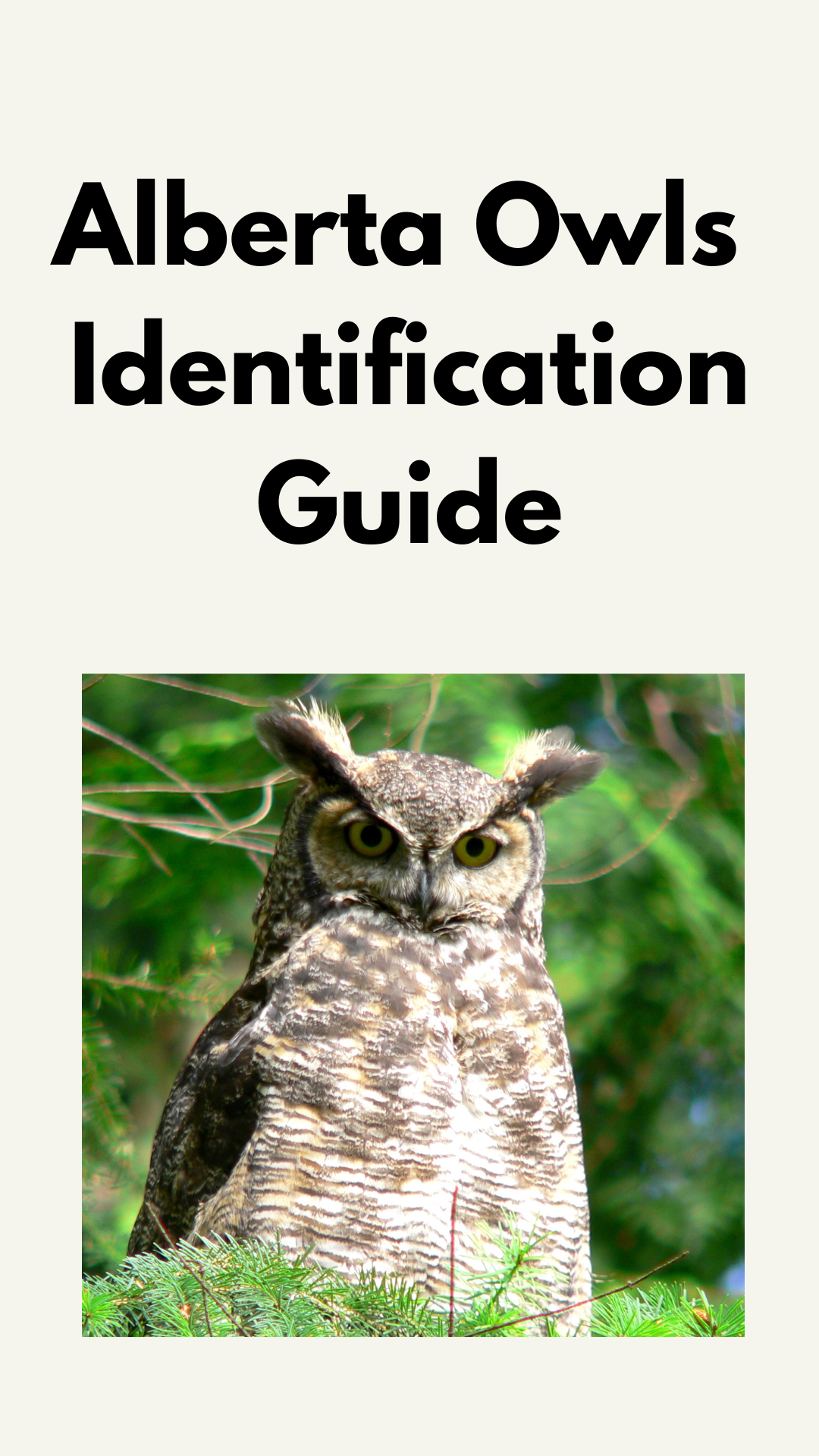 Identification Guides — Edmonton & Area Land Trust