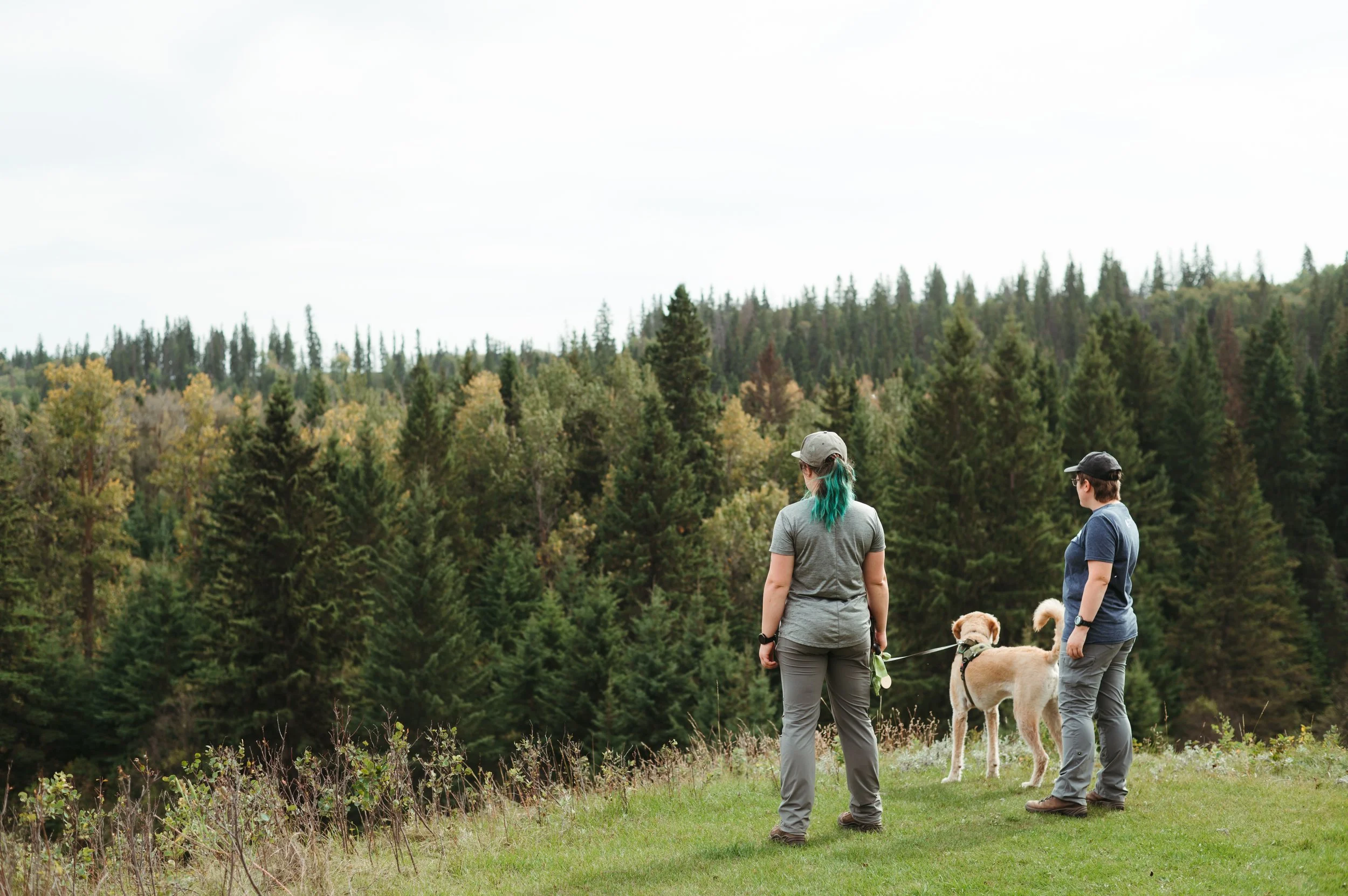Dogs at EALT Conservation Lands — Edmonton & Area Land Trust