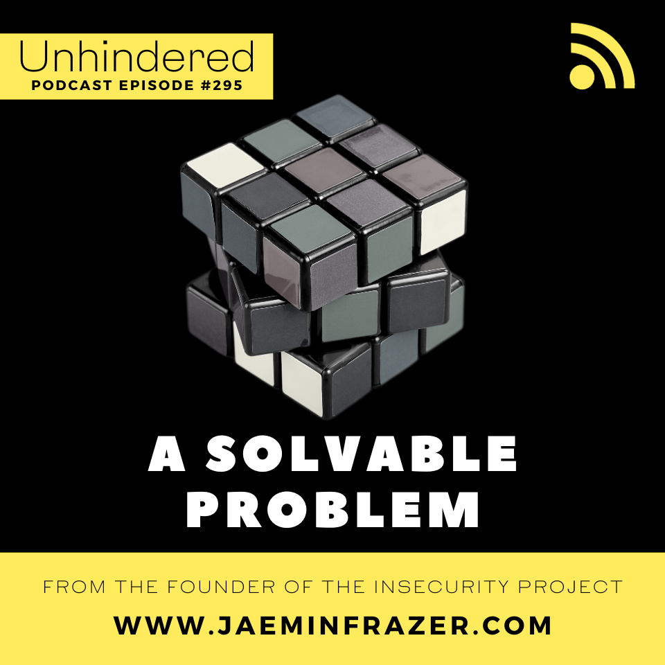 Episode 295. A solvable problem — The Insecurity Project