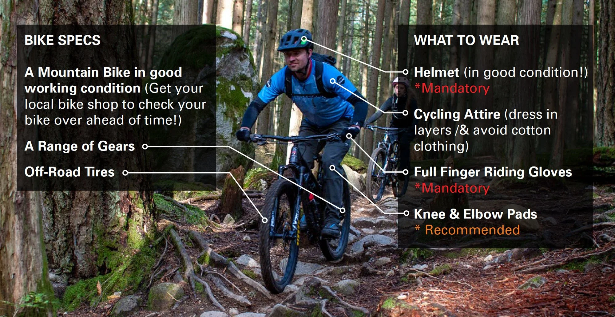 Progression Session Foundation — Endless Biking