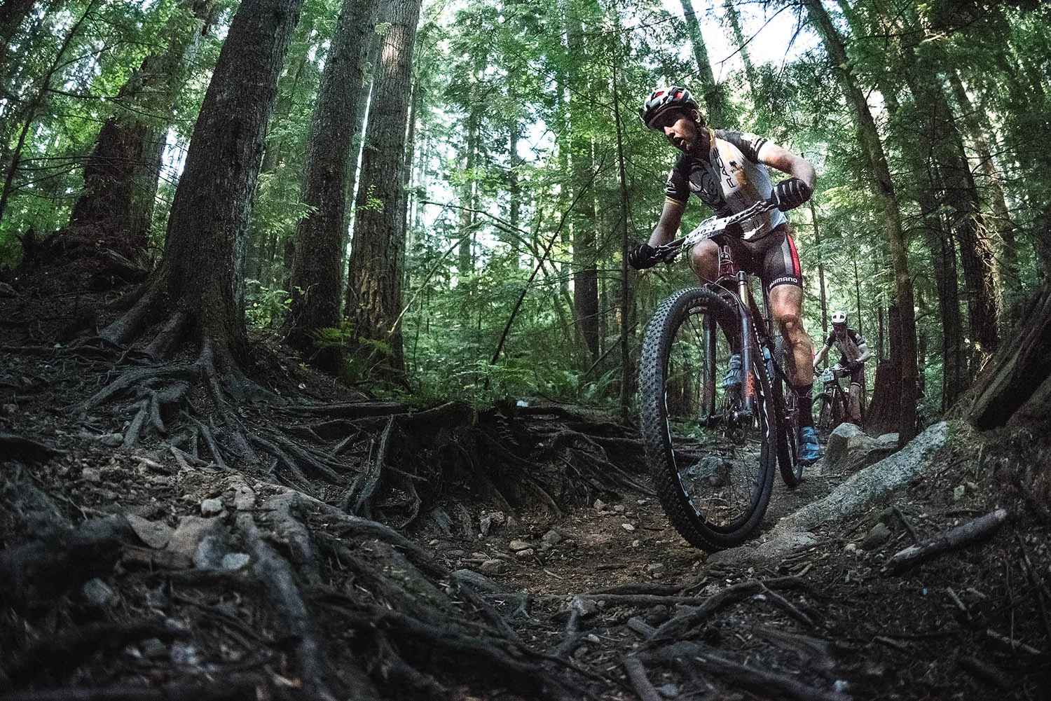 Mountain Bike Riding Techniques