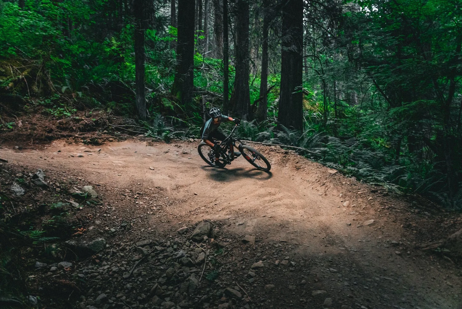 The Classics — Endless Biking