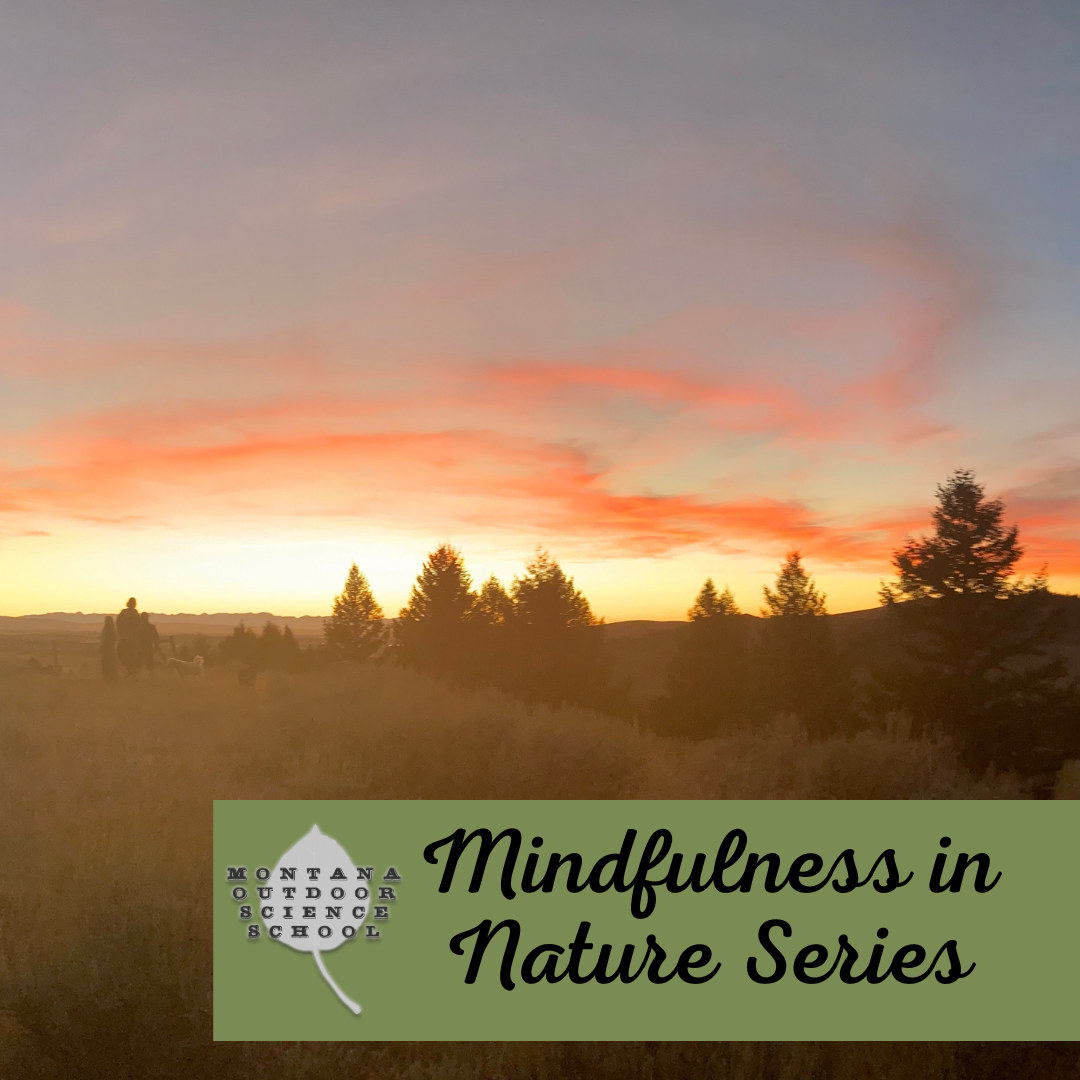 Mindfulness In Nature — Montana Outdoor Science School