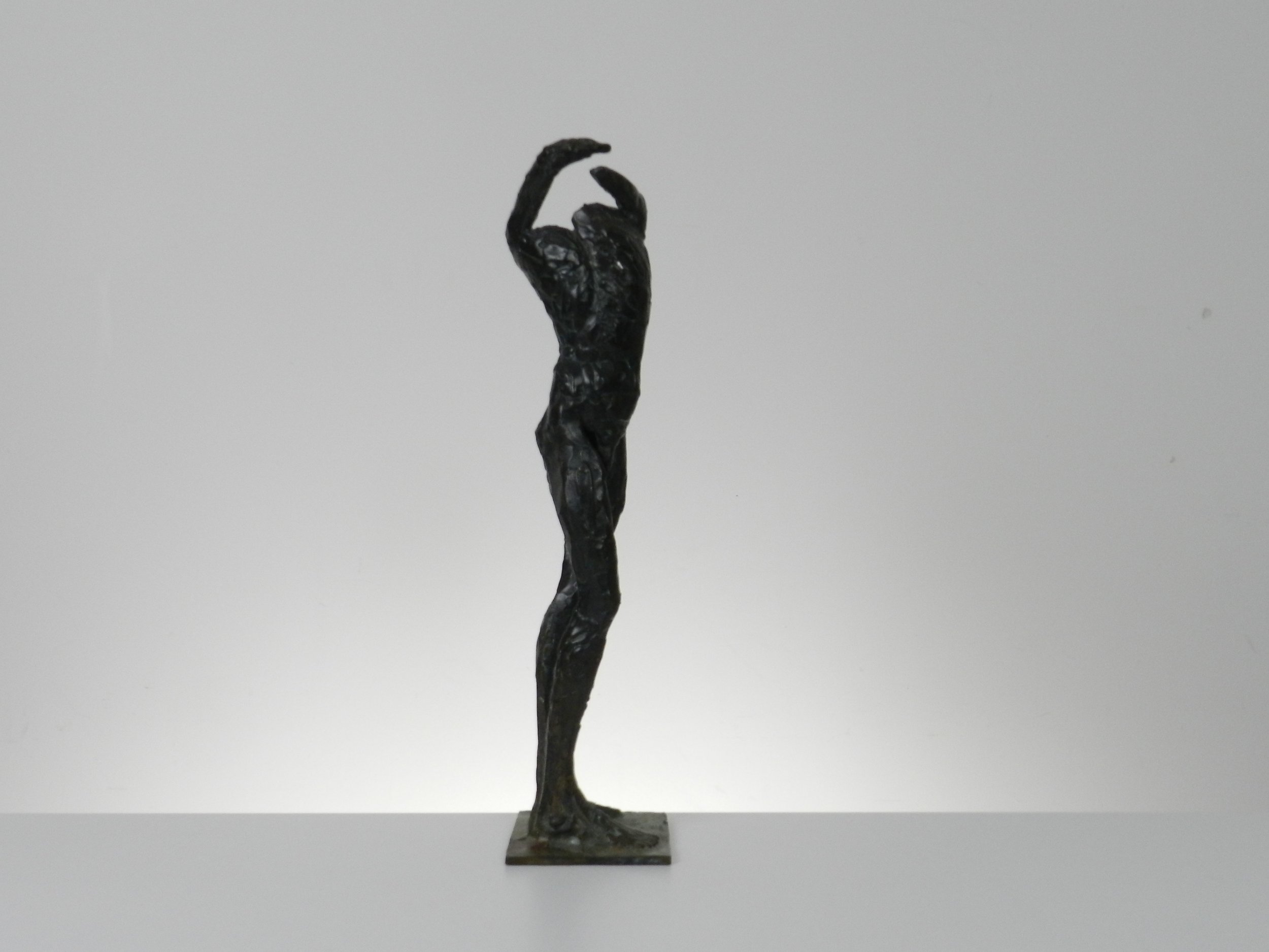 new arrivals — zig zag