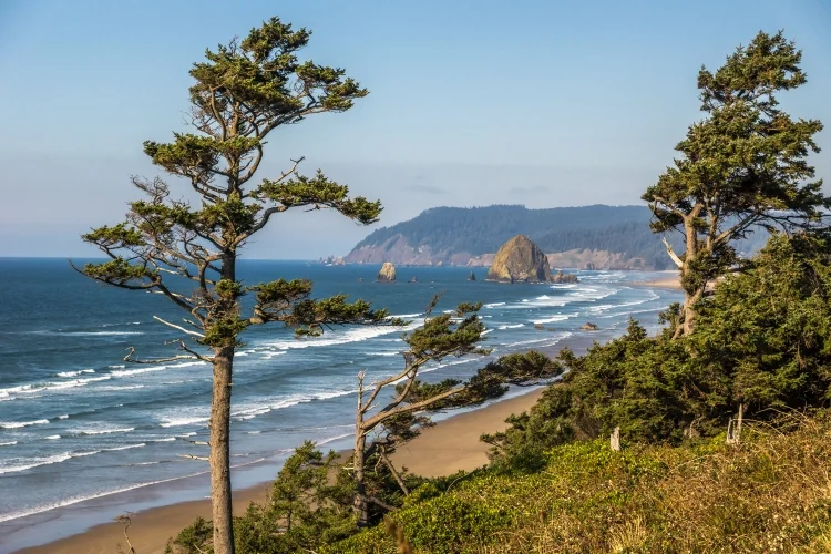 The Pacific Northwest — Michael Schmidt Photography