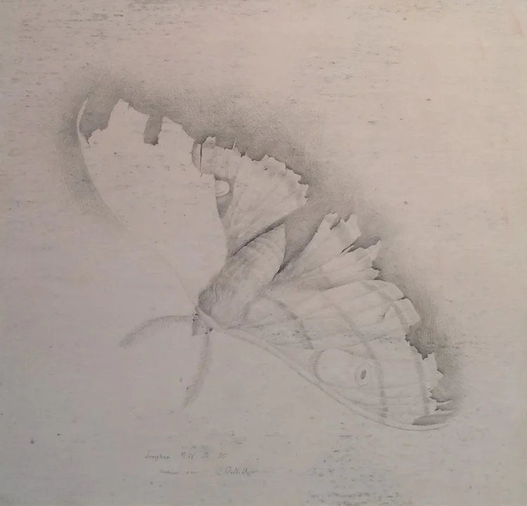 John Wilde | Tory Folliard Gallery | Art Gallery | Milwaukee WI