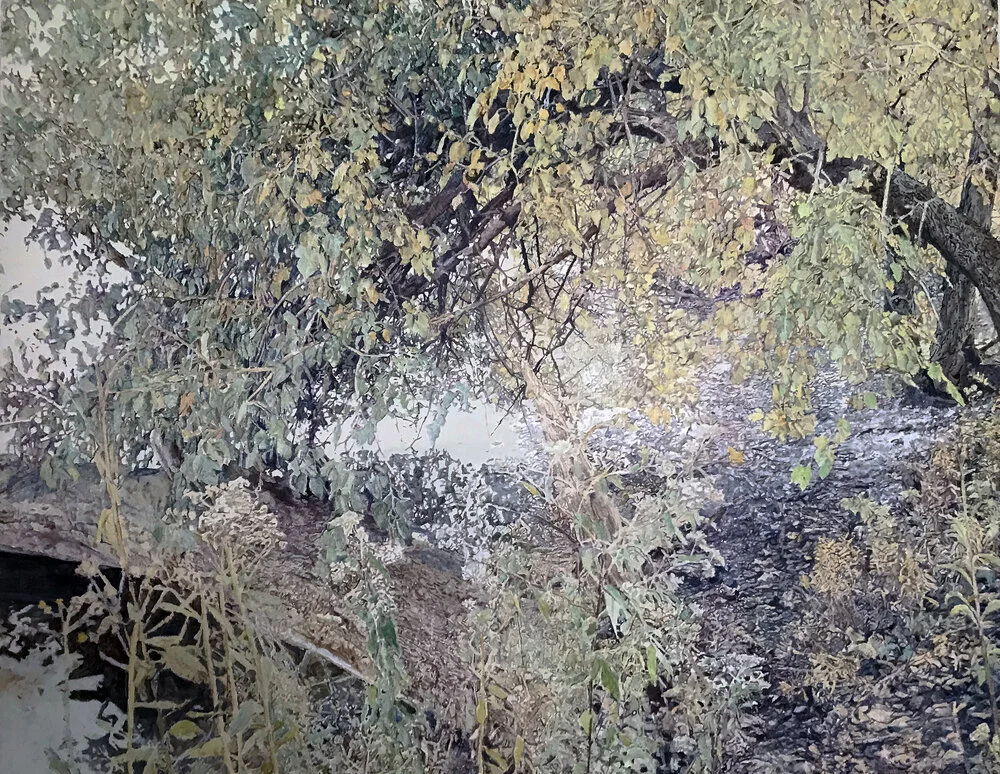 William Nichols | Tory Folliard Gallery | Art Gallery | Milwaukee WI