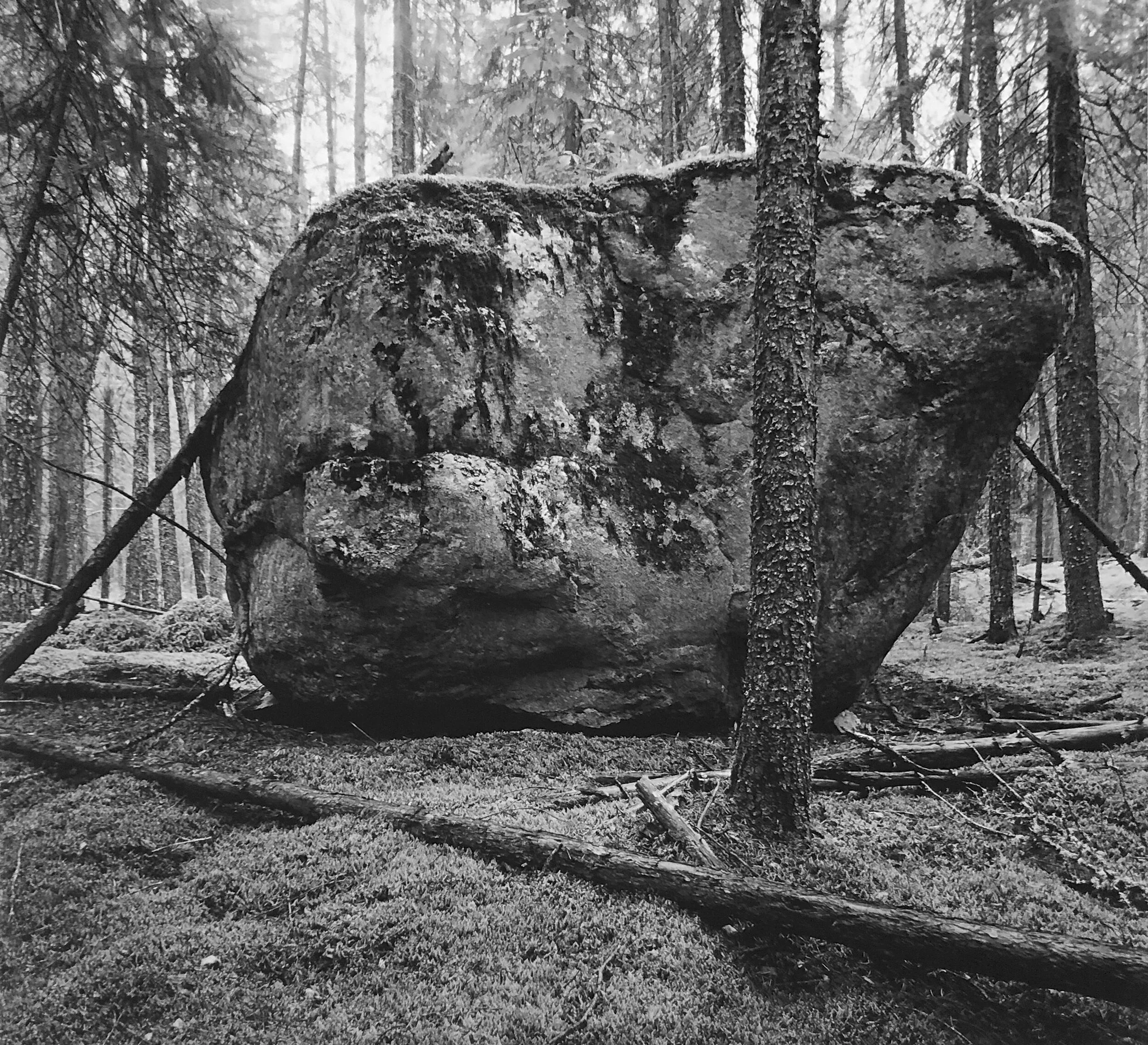 Tom Uttech | Tory Folliard Gallery | Art Gallery | Milwaukee WI