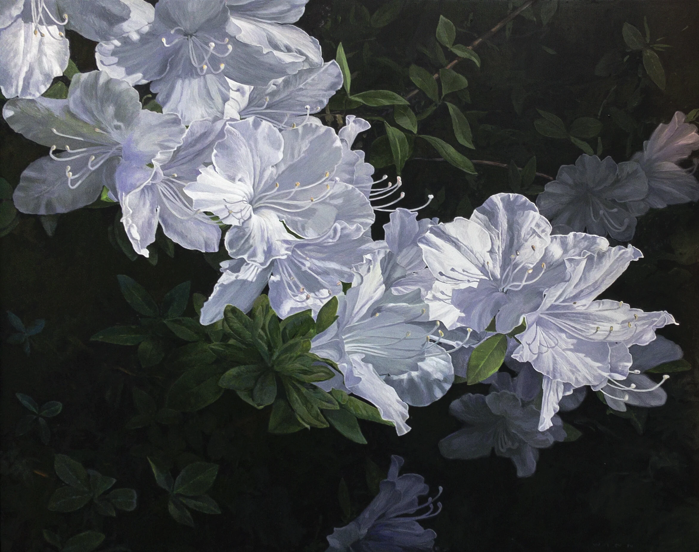 James Winn | Tory Folliard Gallery | Art Gallery | Milwaukee WI