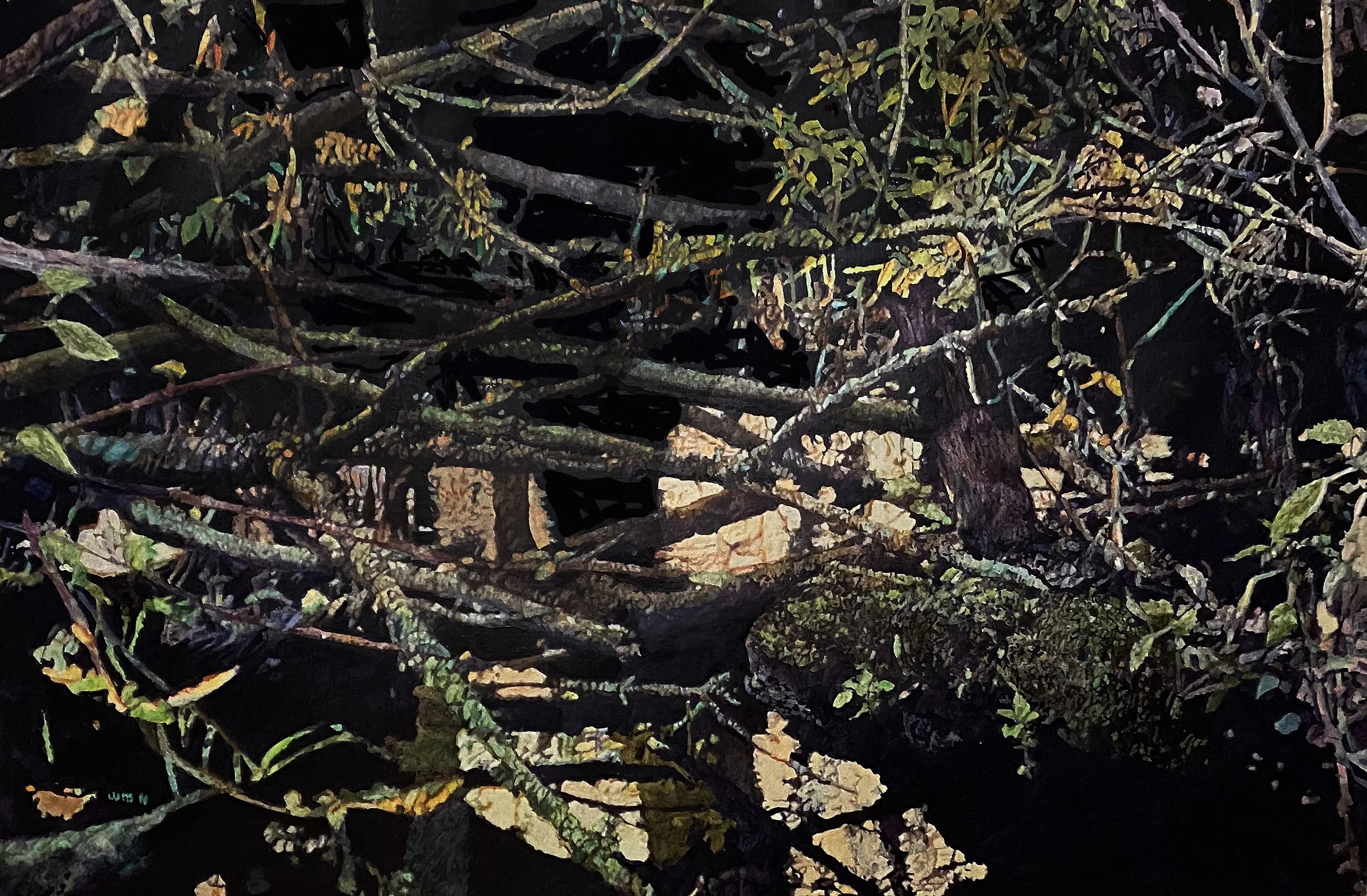 William Nichols | Tory Folliard Gallery | Art Gallery | Milwaukee WI