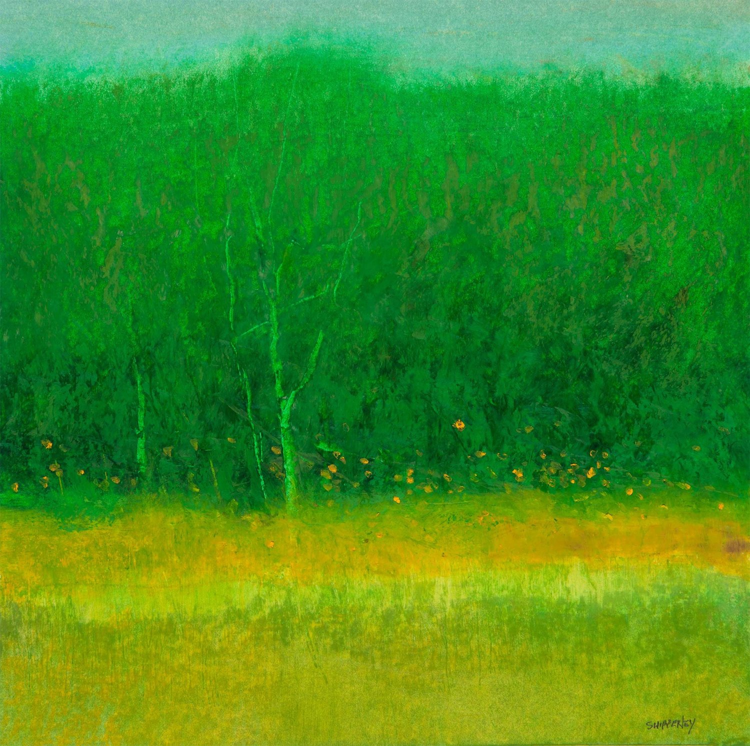 George Shipperley - New Paintings | Tory Folliard Gallery | Art Gallery ...