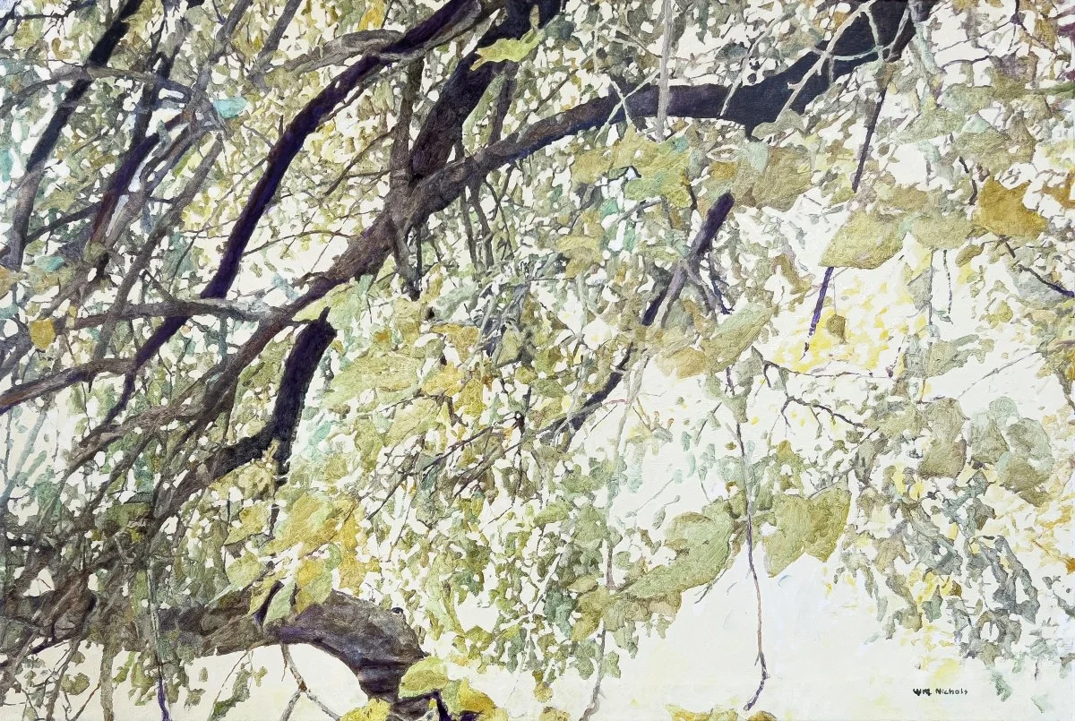 William Nichols | Tory Folliard Gallery | Art Gallery | Milwaukee WI